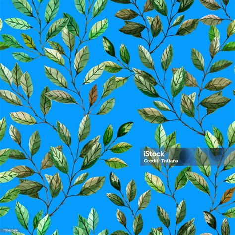 매끄러운 수채화 패턴의 일러스트 파란색 배경에 젊은 나뭇 가지와 나뭇잎 올리브 나무 목련 녹차의 식물 원소 0명에 대한 스톡 벡터 아트 및 기타 이미지 Istock