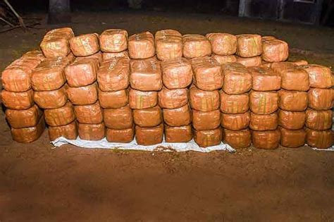 Lanka මිලියන 87කට ආසන්න කේරළ ගංජා තොගයක් නාවික හමුදා භාරයට මන්නාරම පේසාලේ වෙරළ ප්‍රදේශයේ