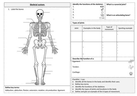 Ocr Gcse Pe Paper 1 Revision Skeletal System Teaching Resources
