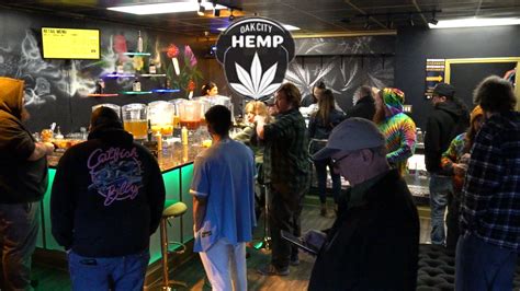 Understanding The Endocannabinoid System Oak City Hemp Lounge