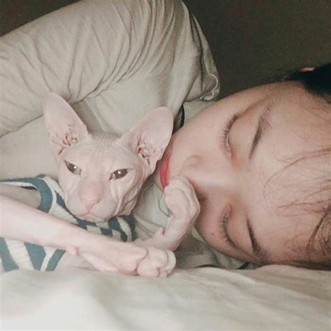 On Twitter Sulli Https T Co M Epaehnic Twitter