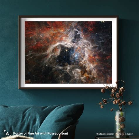 Tarantula Nebula Poster Fineart And Astropanel Astrography