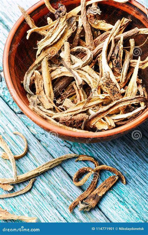 Medicinal Root Inula Stock Image Image Of Mortar Healer 114771901