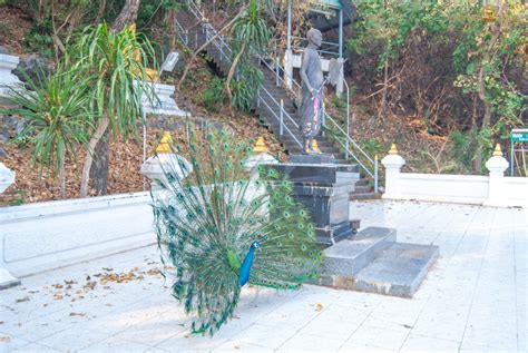 วัดเทพพิทักษ์ปุณณาราม นครราชสีมา