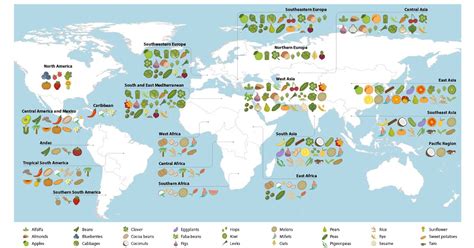 El Cuexcomate El Origen De Nuestros Alimentos