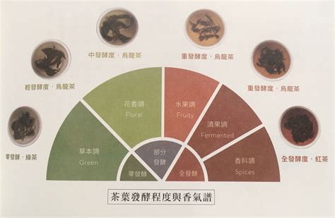 【書訊】茶葉知識何處來：《茶味裡的隱知識》說明白