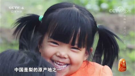 世界第一古梨园！ 独家采梨技巧大揭秘：什川古梨园 百年古梨香 Cctv中文国际《记住乡愁》第九季 20230207 Youtube