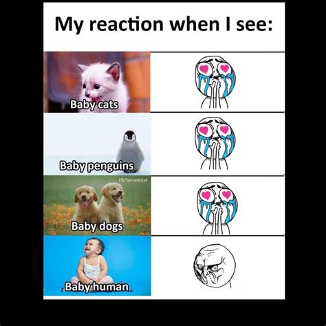 Adult Meme X Shy Meme X • Instagram Photos And Videos