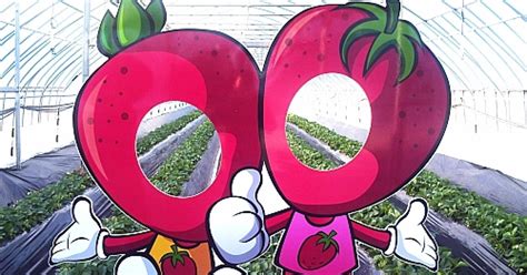 삼척 딸기 사세요농업기술센터 딸기 홍보 눈길