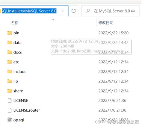 如何导入导出mysql文件mysql 导入 Csdn博客