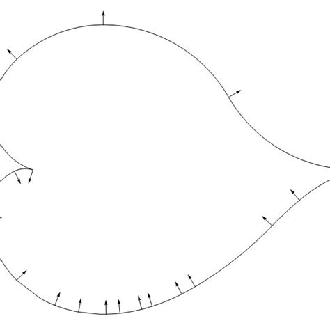 A Simple Circular 20 Gon With Decreasing Curvature Oriented Contact Download Scientific