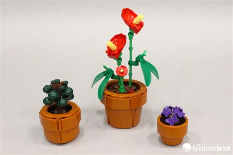 Lego Icons Botanical Collection 10329 Tiny Plants Tbb Review 41