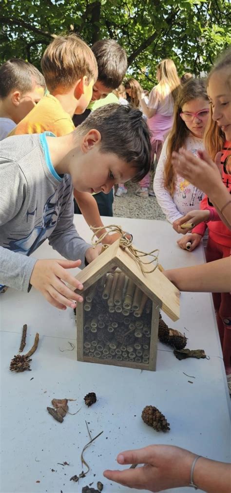 Dan Pčela Ju Zeleni Prsten Zagrebačke županije