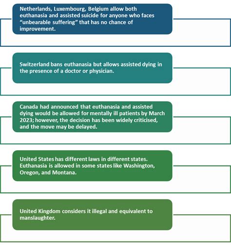 Discover Everything About Euthanasia And Its New Guidelines Newscanvassedu