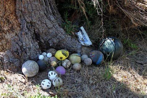 Our Dream Therese And Cameron