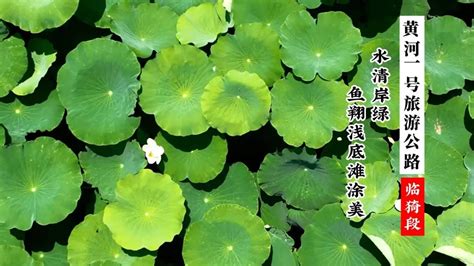运城新闻网