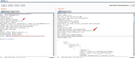 Cors Vulnerability Detection And Utilization