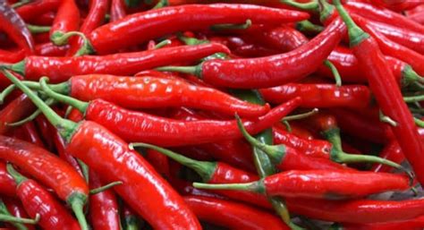 Siopen Hss Toko Annisa Cabe Merah