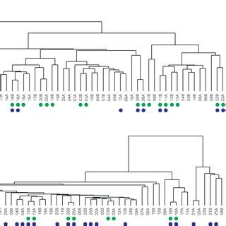 Lollipop Plots Depicting The Number And Type Of Mutations Spanning The