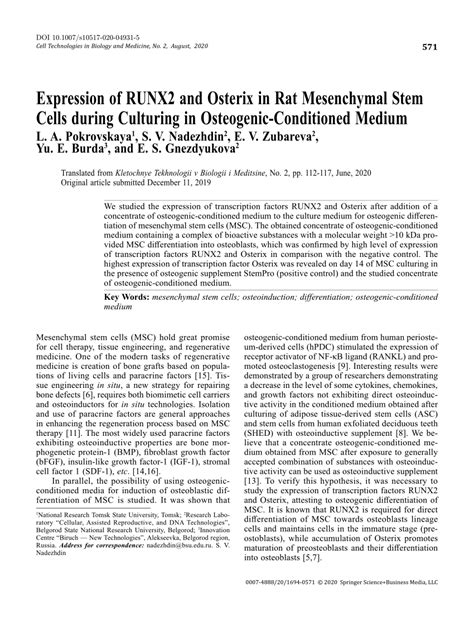 Pdf Expression Of Runx2 And Osterix In Rat Mesenchymal Stem Cells During Culturing In