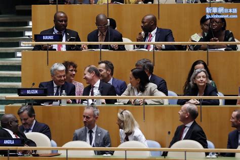 ドイツなど5カ国、国連安保理非常任理事国に選出新華網日本語