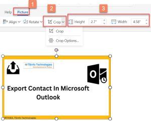 How To Stretch An Image Full Width In Word Online WordOnlineTips Com