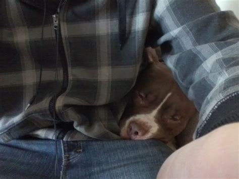 Buddy Has No Notion Of Personal Space Imgur
