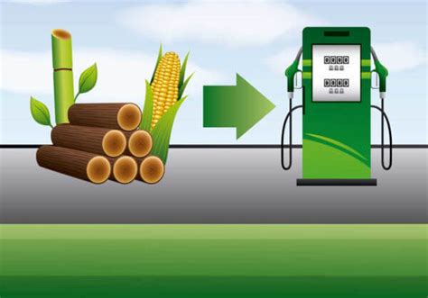 Bioenergia Biomassa Combustíveis Vantagens E Desvantagens