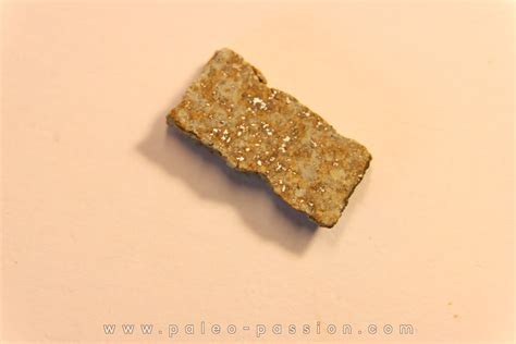 Meteorite Chondrite Ghadamis Chondrite L6 Origine Libia