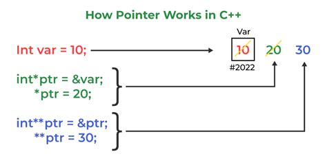 Is Null Pointer C At Horace Wright Blog