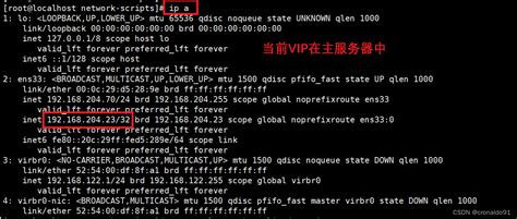 Web服务器群集：lvskeepalived高可用群集lvskeepalived高可用集群 Csdn博客