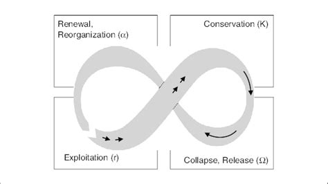 Adaptive Cycle Source Adapted From Holling And Gunderson 2002