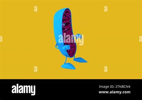 Mitochondria Cartoon Stock Videos And Footage Hd And 4k Video Clips Alamy