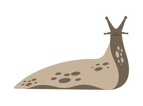 Slug Vector Flat Illustration Icon 41645586 Vector Art At Vecteezy