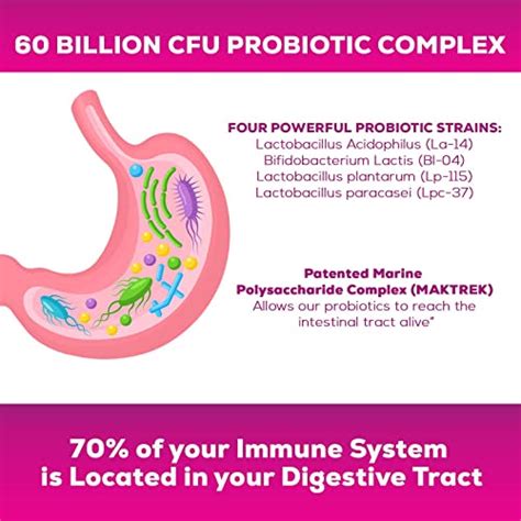 Probiotics 60 Billion Cfu With Prebiotics Supports Digestive Health
