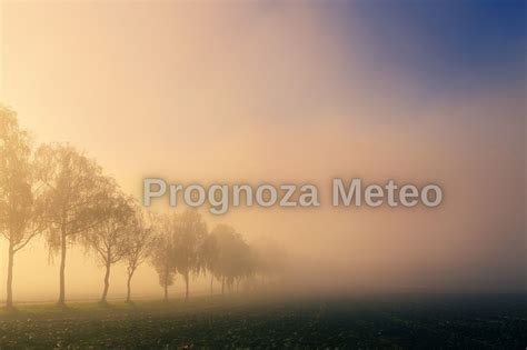 Prognoza meteo 14 noiembrie 2024 Meteorologii Accuweather anunță vreme