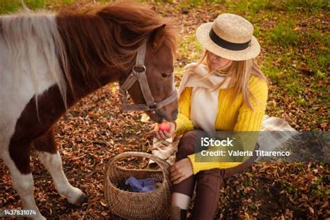 아름 다운 초상화 여자와 조랑말 가을 숲 유쾌한 색상 배경에서 발견 된 말 사랑 부드러움 우정의 개념 사과를 먹는다 20 24세에 대한 스톡 사진 및 기타 이미지 Istock