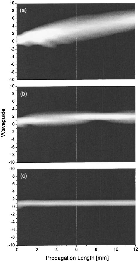 Simulation Based On The Dnls Equation See Eq 1 Of The Field