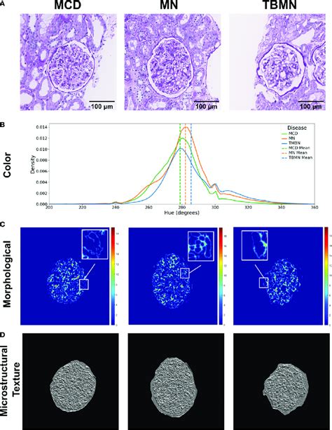 Visual Representation Of Biomarker Features Extracted A Columns