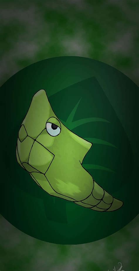 Metapod Wallpaper