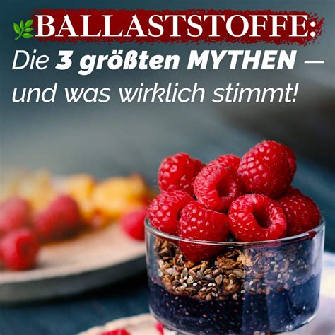 MilzPankreas Meridian Meine TCM