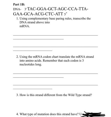 Solved Dna 3 Tac Gga Gct Agc Cca Tta Gaa Gca Acg Ctc Att 5 1