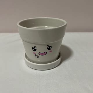 園駛人の植涯盆器 磁盆 附水盤 含水盤盆器 可愛盆器 笑臉盆器 娃娃 笑臉 多肉植物 觀葉 療癒盆栽 辦公室盆栽 蝦皮購物