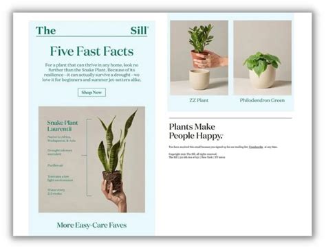 Types Of Sales Leads How To Convert Them LocaliQ