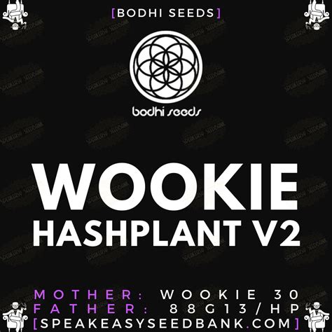 Wookie Hashplant V2 Strain Seeds • 🐶 ️8️⃣8️⃣⛽1️⃣3️⃣️⃣🪴