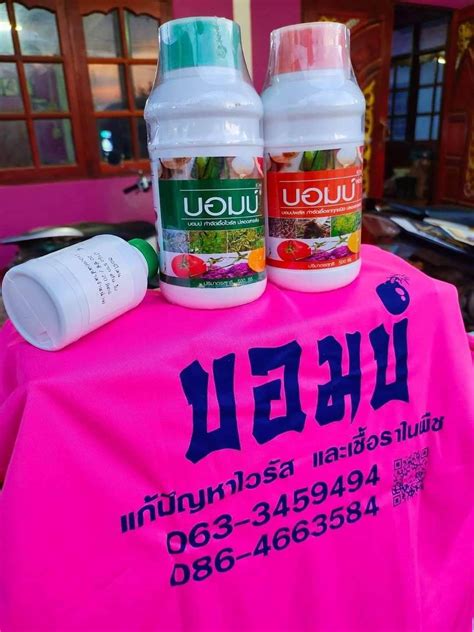 กำจัดไวรัสเพลี้ยไฟไรแดงเชื้อราในพืชทุกชนิด บอมบ์ ฮอร์โมน พืช2 Thaipick