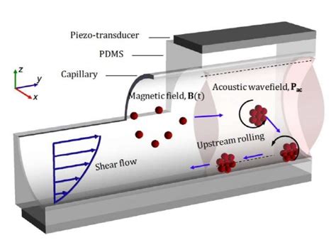스위스 취리히연방공대 혈류 거슬러 오르는 마이크로 로봇 개발 로봇신문사 스위스 취리히연방공대 혈류 거슬러 오르는 마이크로 로봇 개발 로봇신문사