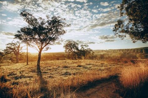 Cambio Climático Y Muertes A Causa De Temperaturas Extremas