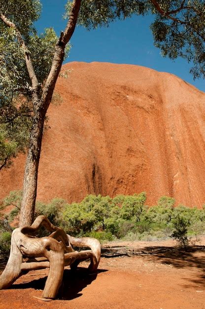 Premium Photo Tree Trunk By Log Against Sky