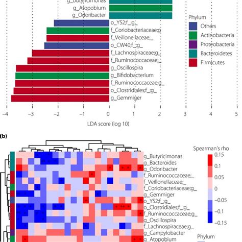 Picrust Analysis Results Of Predicted Functional Pathways Of The Gut Download Scientific